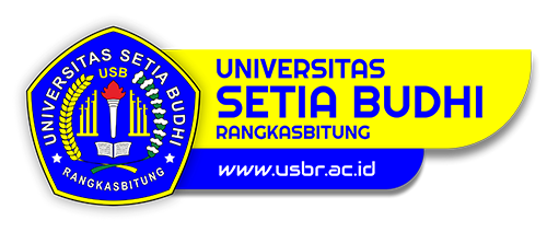 Monitoring USB Rangkasbitung